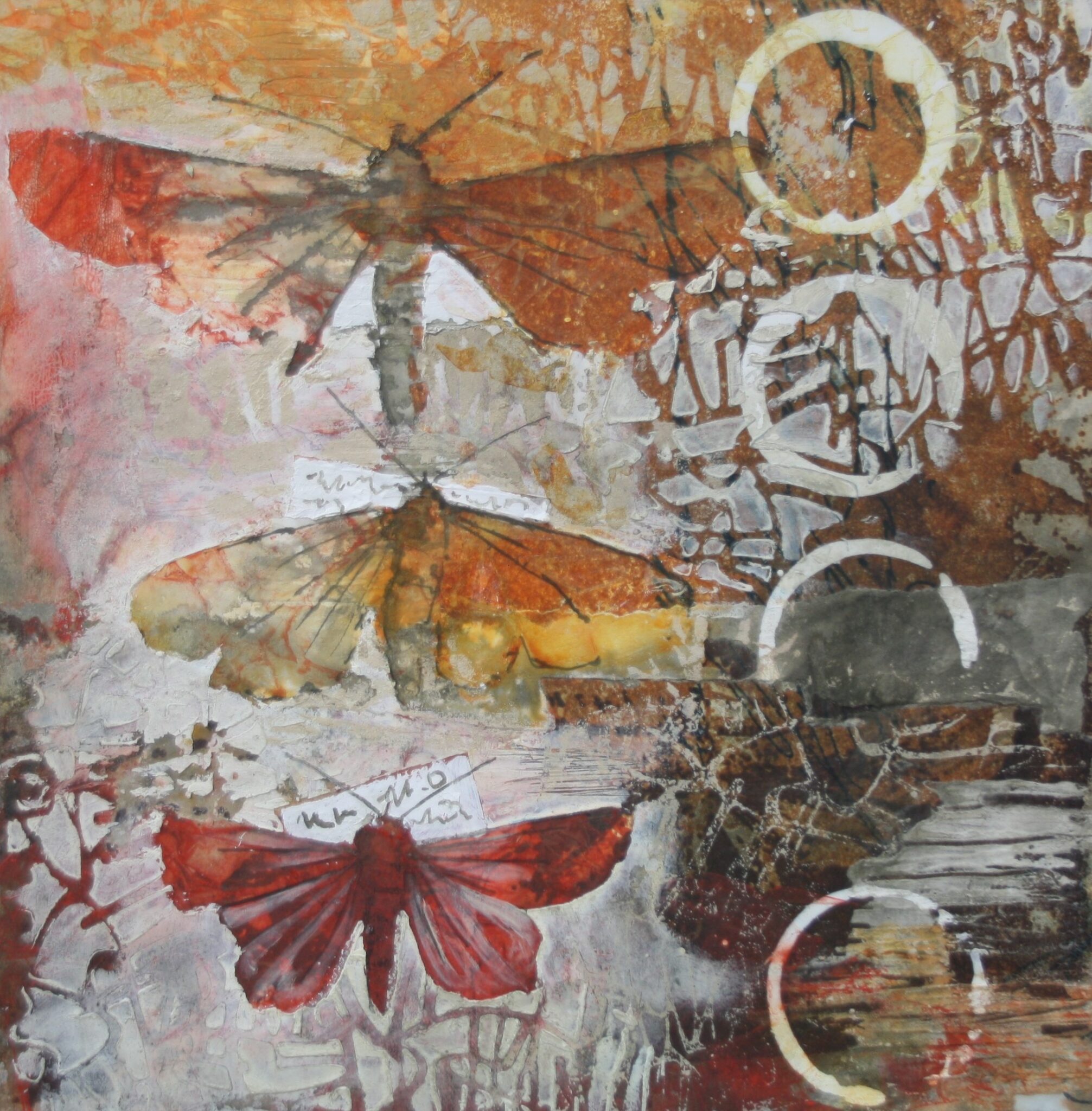 Amber Moths - The Gallery Holt