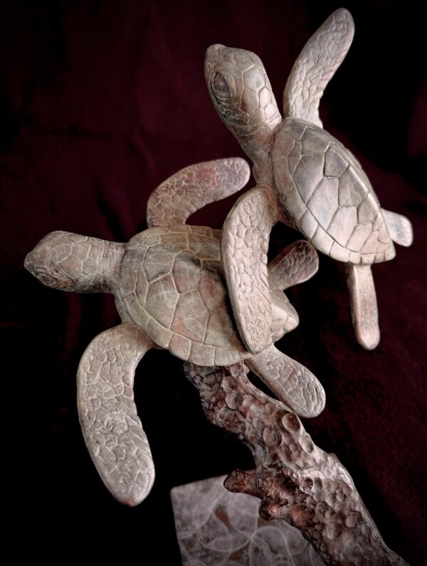 Turtle Duo - The Gallery Holt